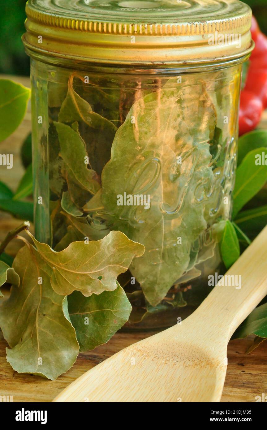 Baie Sweeet, feuilles de baie séchées dans un pot et cuillère en bois ... Baie Sweeet, feuilles de baie séchées dans un pot et cuillère en bois ...