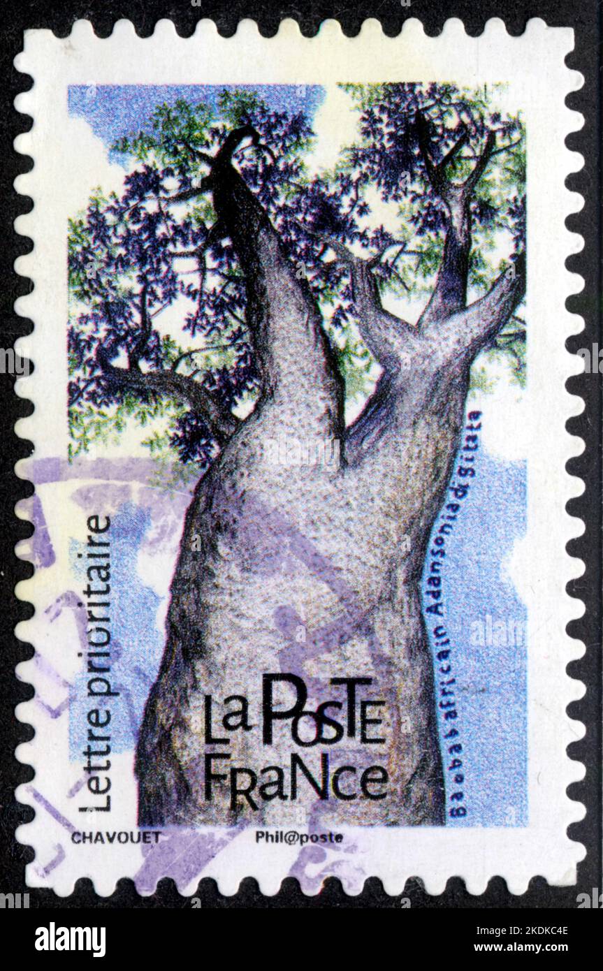Baobab africain Banque de photographies et d’images à haute résolution ...