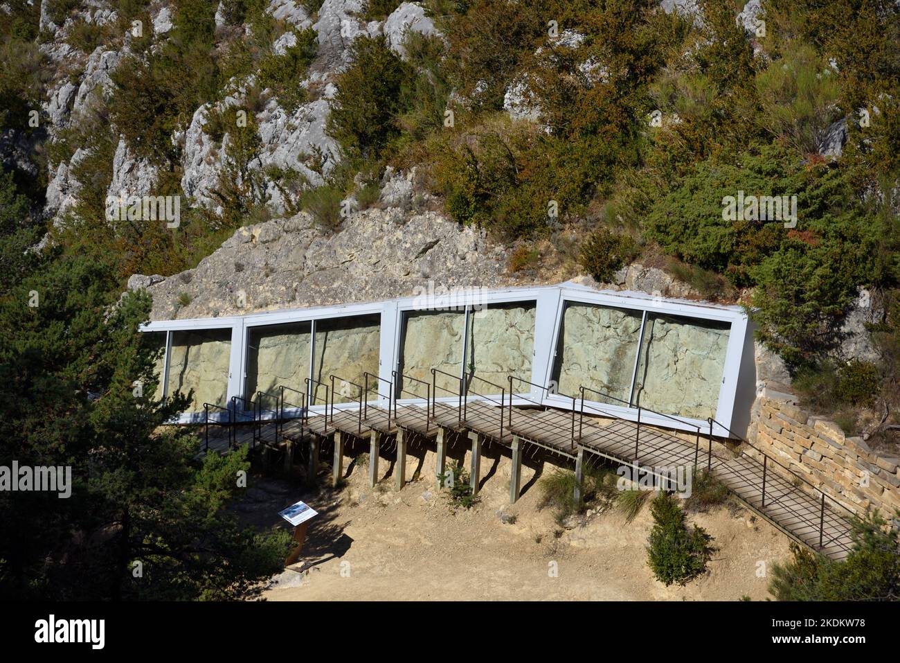 Site protégé de la cage des côtes fossilisées et des os de la sirenia ...