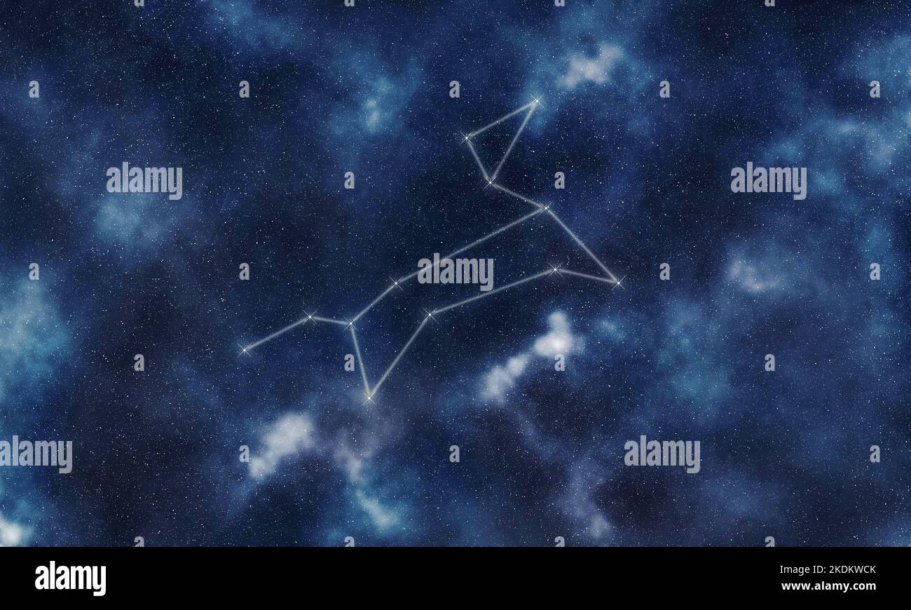 Constellation d'étoiles principales de Canis, ciel de nuit, lignes de ...