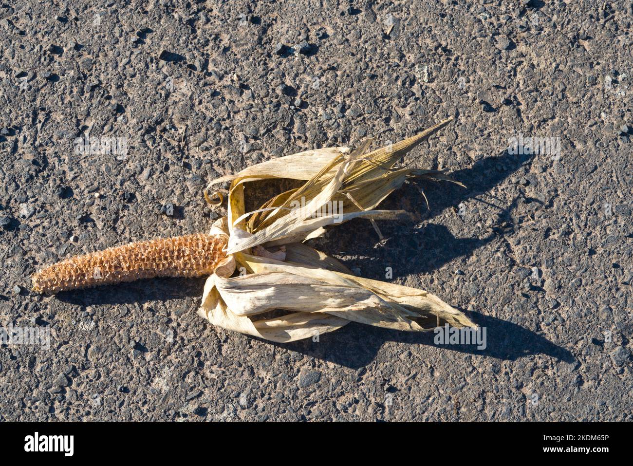 Restes agricoles Banque de photographies et d’images à haute résolution ...