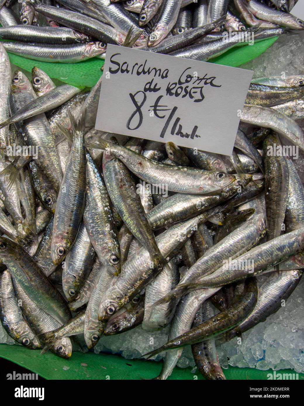 Poisson à vendre au célèbre Mercat del Lleo qui est le célèbre marché ...