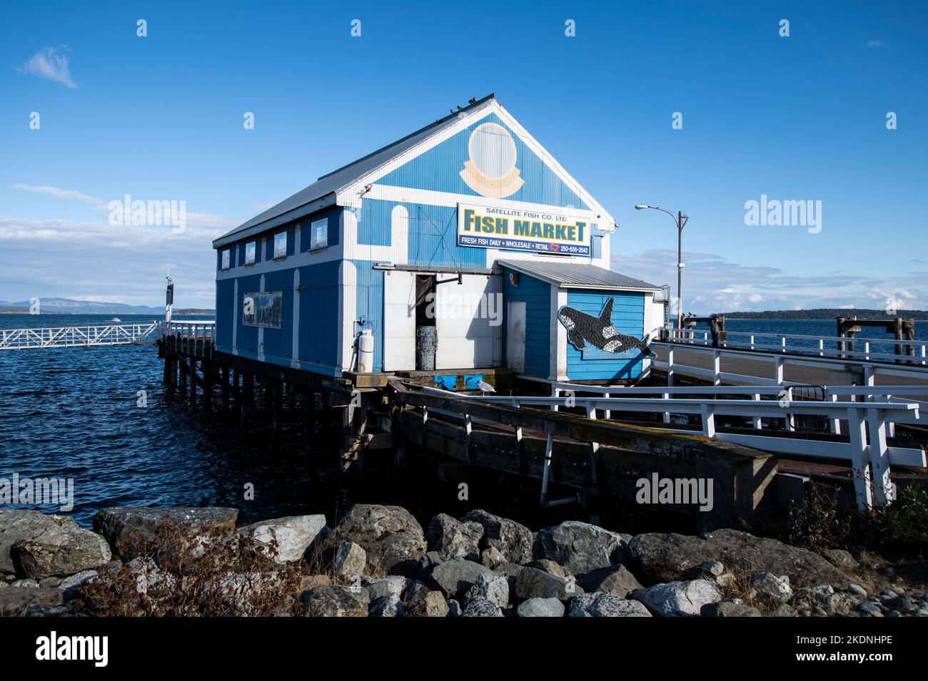 British sea fish Banque de photographies et d’images à haute résolution ...