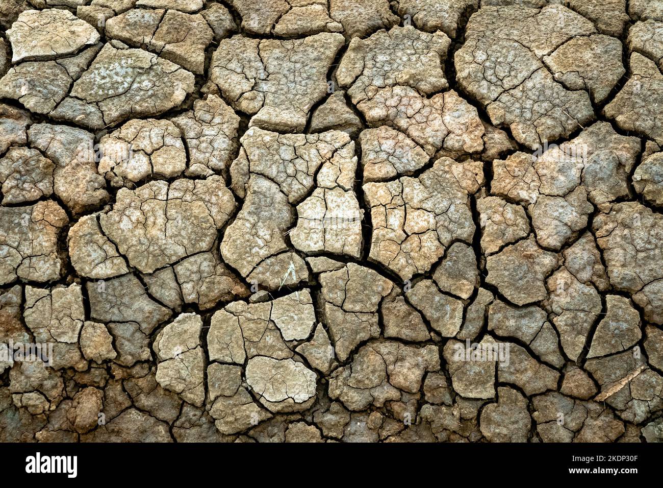 Surface sèche avec fond texturé de fissures profondes. Sol séché et ...