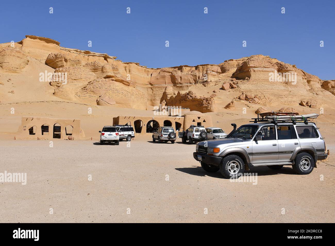 Protection de la nature unique Wadi El Rayan à Wadi al Hitan ...