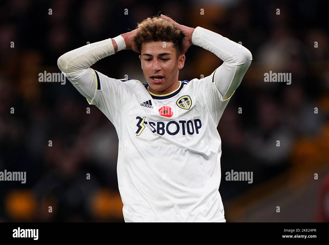 Mateo joseph fernandez Banque de photographies et d’images à haute ...