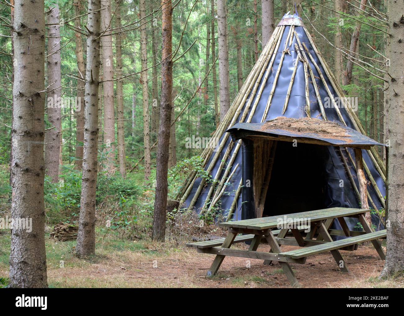 Une vieille tipi dans la forêt qui est censée offrir aux randonneurs ...