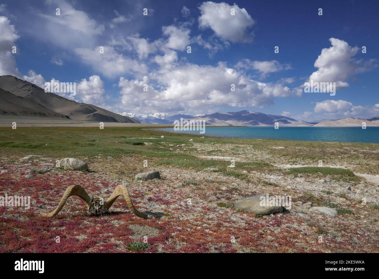Vue sur le lac de Karakul, avec la chaîne de montagnes Muskol en ...