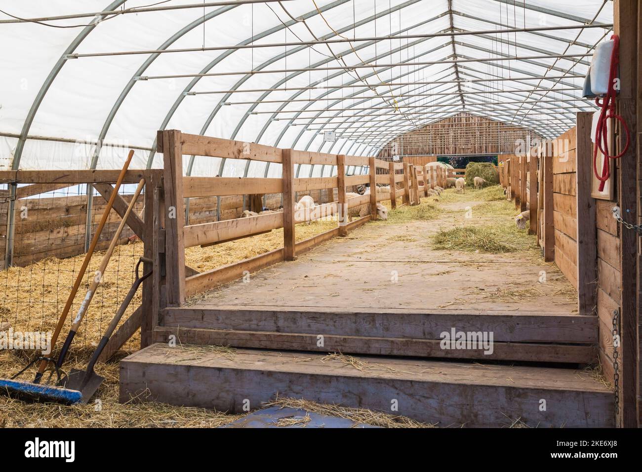 Arcott rideau Banque de photographies et d’images à haute résolution ...