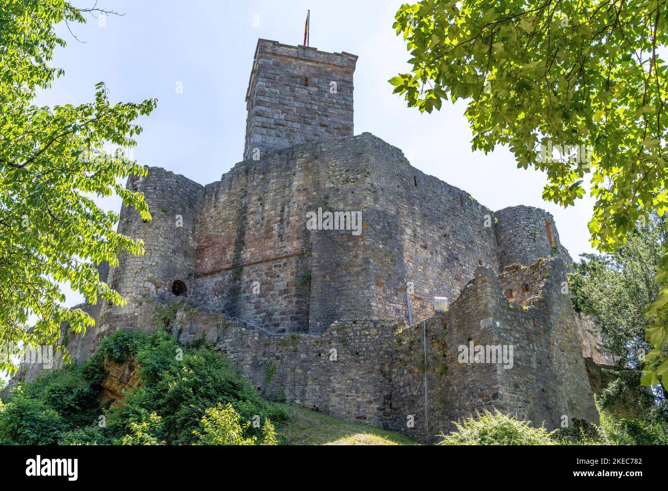 Europe, Allemagne, Sud de l'Allemagne, Bade-Wurtemberg, Forêt Noire ...