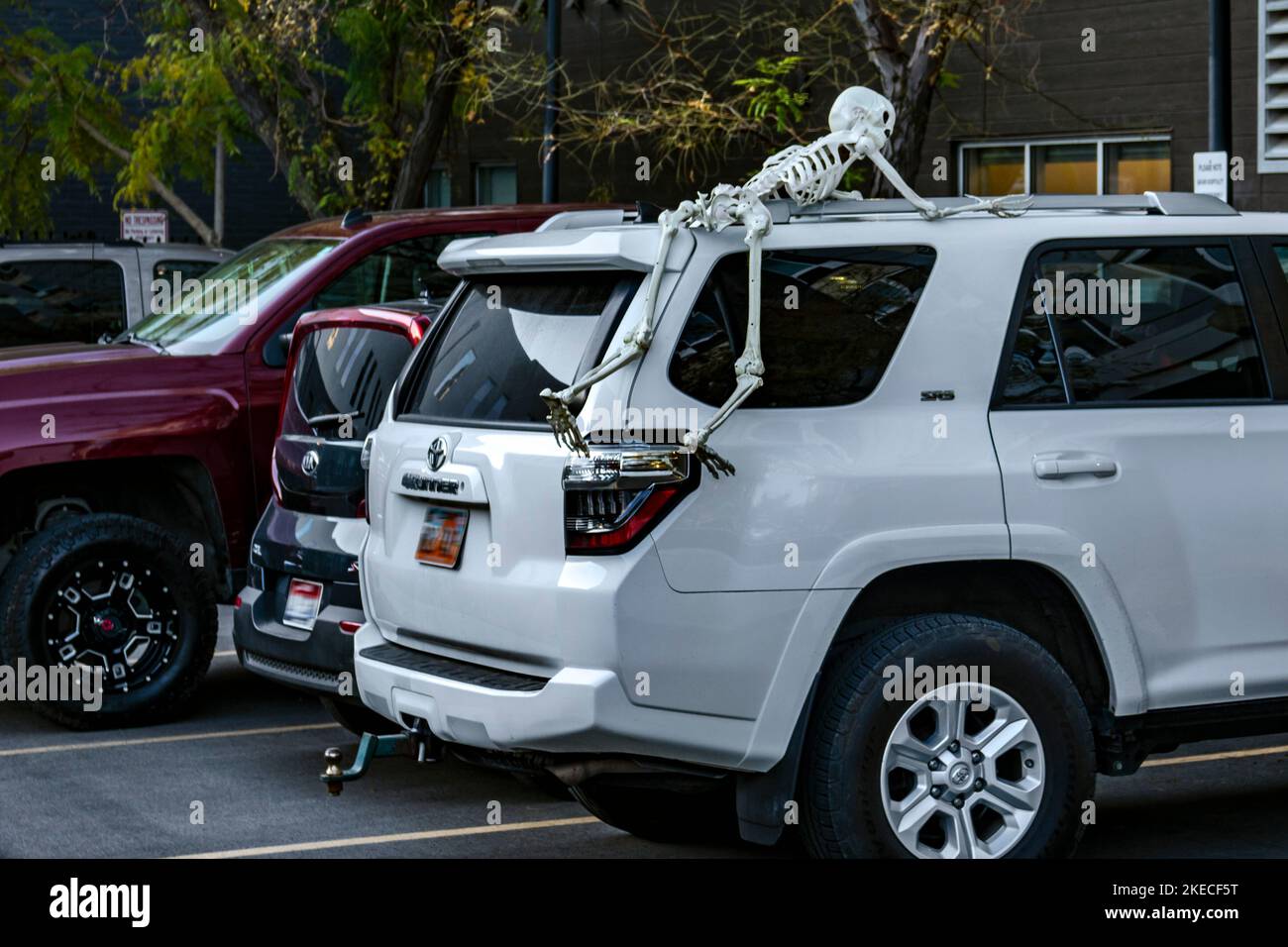 Skeleton car Banque de photographies et d’images à haute résolution - Alamy