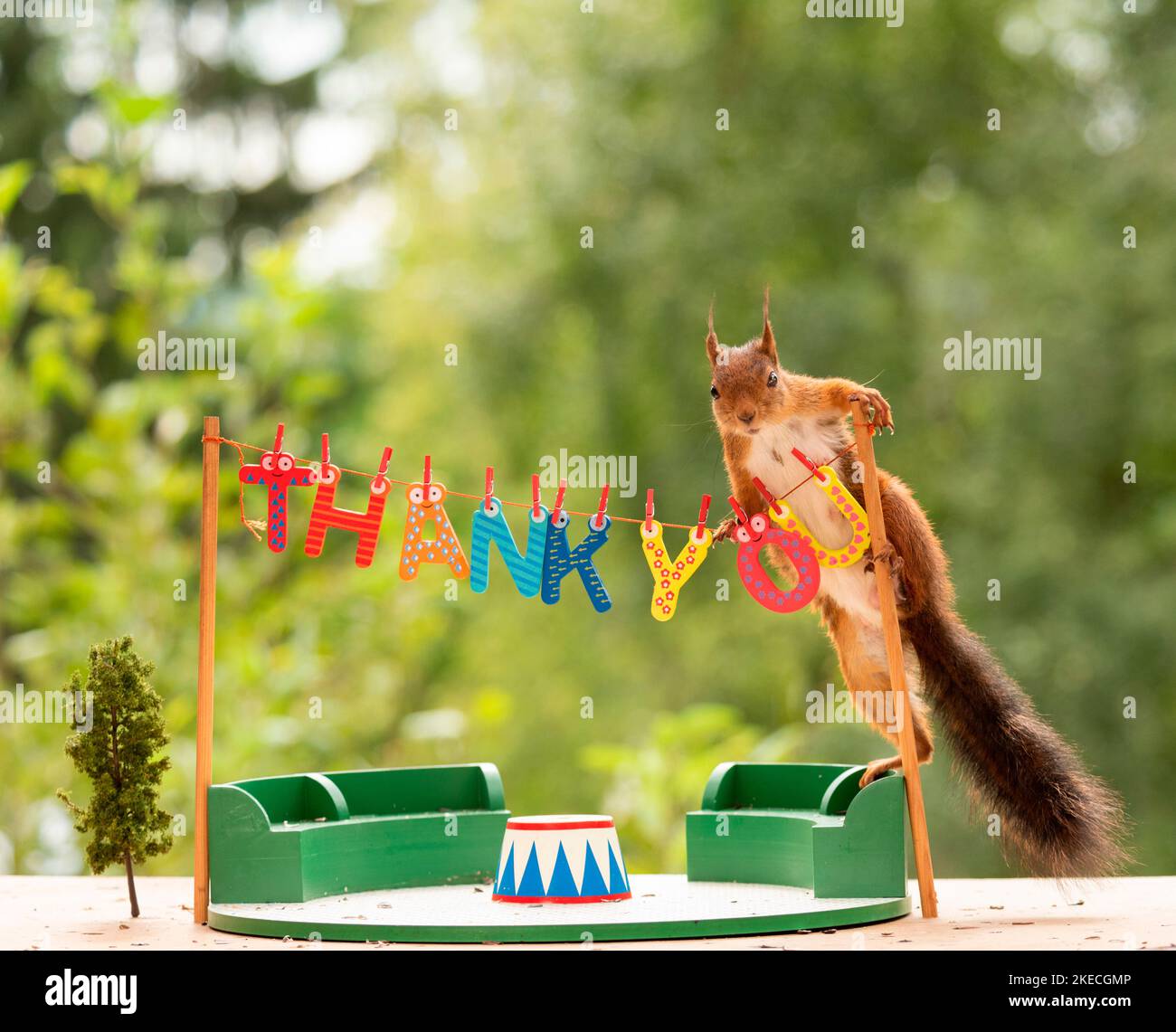 Merci mot Banque de photographies et d’images à haute résolution - Alamy