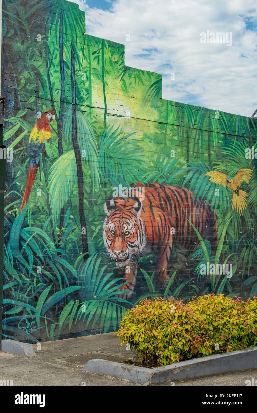 Tiger street art Banque de photographies et d’images à haute résolution ...