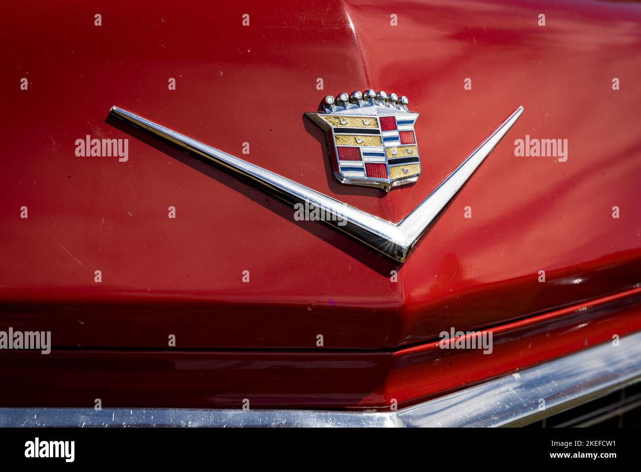 Ornement de capot cadillac Banque de photographies et d’images à haute ...