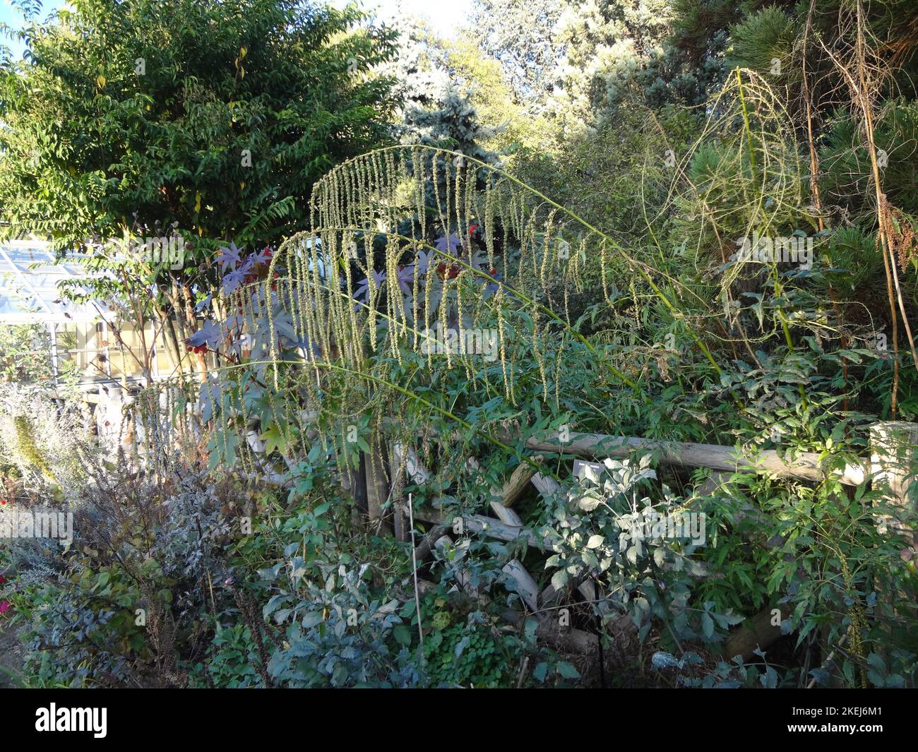 Wave Hill est un domaine de 28 hectares situé dans la section de Hudson ...