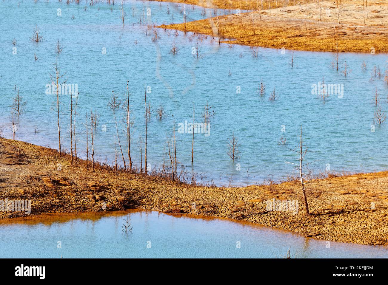 Niveaux bas du réservoir d'eau. Climat sec. Pénurie d'eau. Arbres morts ...