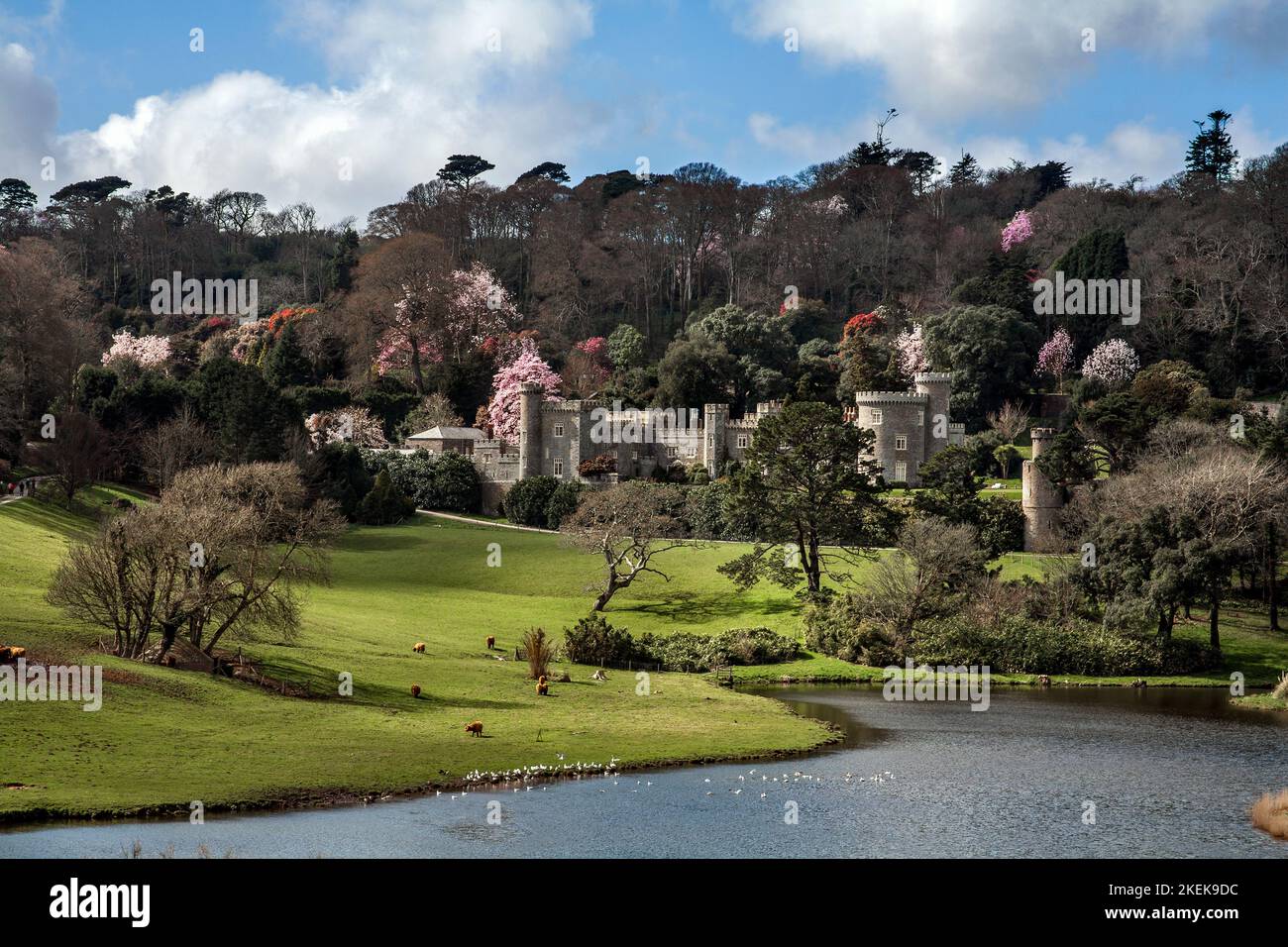 Uk caerhays castle Banque de photographies et d’images à haute ...