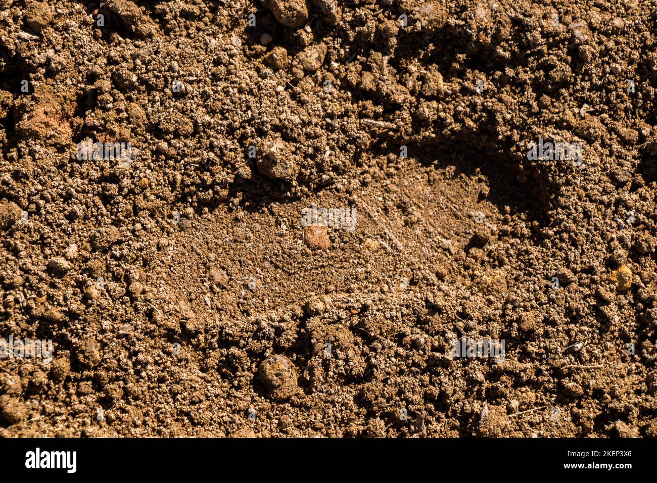 Surface du sol Banque de photographies et d’images à haute résolution ...