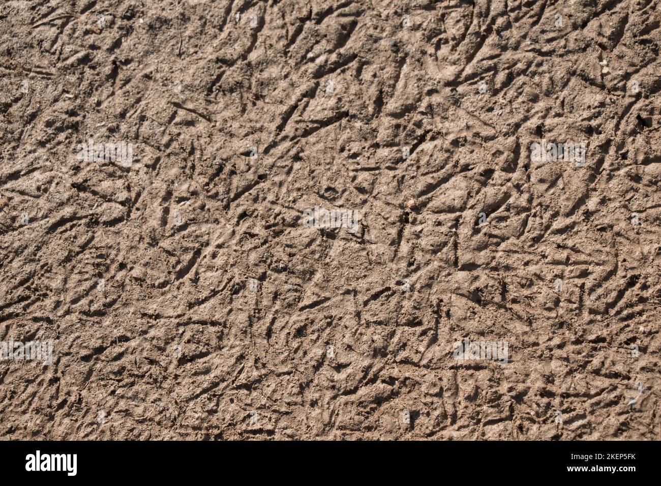Surface du sol Banque de photographies et d’images à haute résolution ...