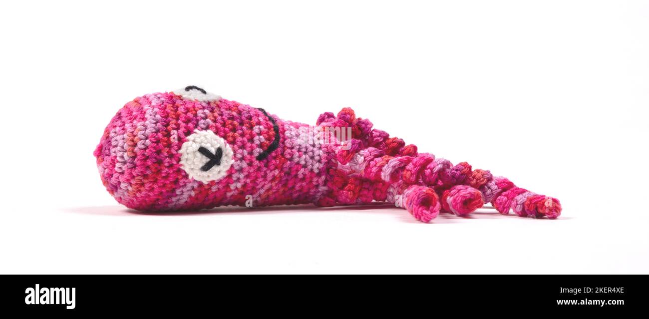 Calmar au crochet Banque de photographies et d’images à haute ...