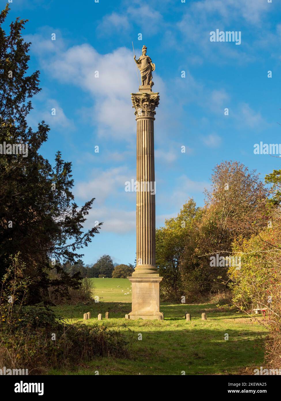 Balai royd bois Banque de photographies et d’images à haute résolution - Alamy