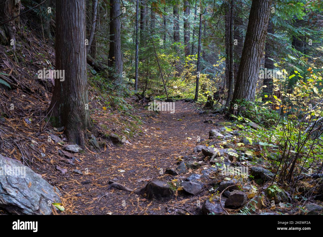 Le sentier du tunnel de Pulaski, près de Wallace, en Idaho, mène le ...