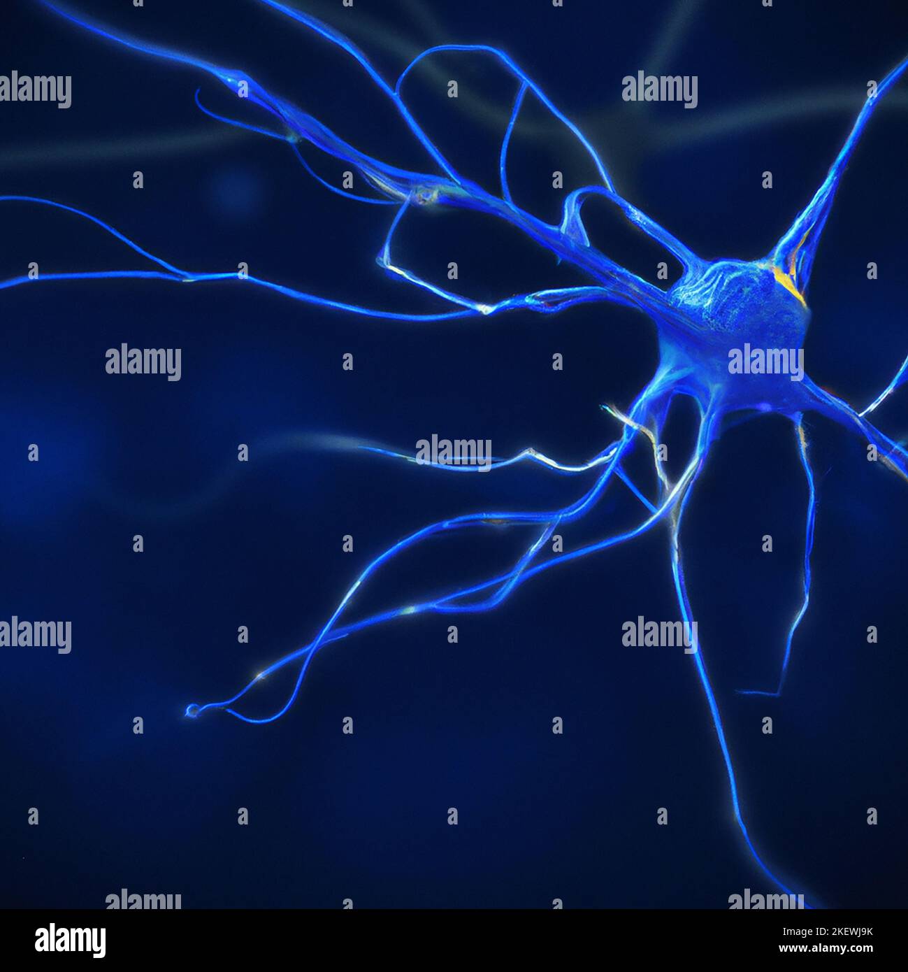 Vue microscopique des synapses. Connexions cérébrales. Neurones et ...
