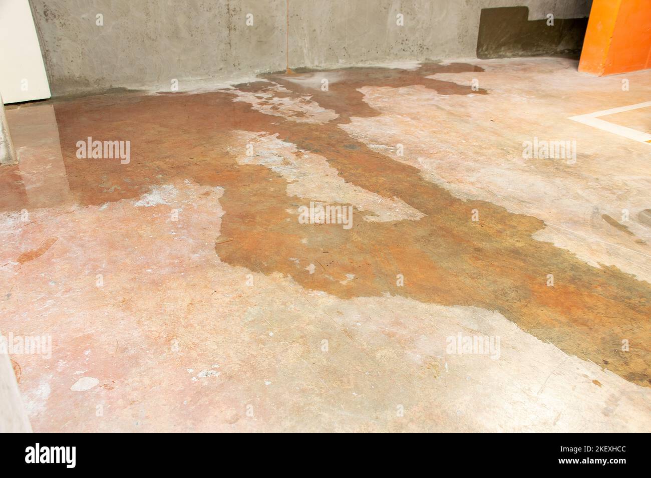 Dommages causés par l'eau dans le sous-sol par le refoulement d'égout ...