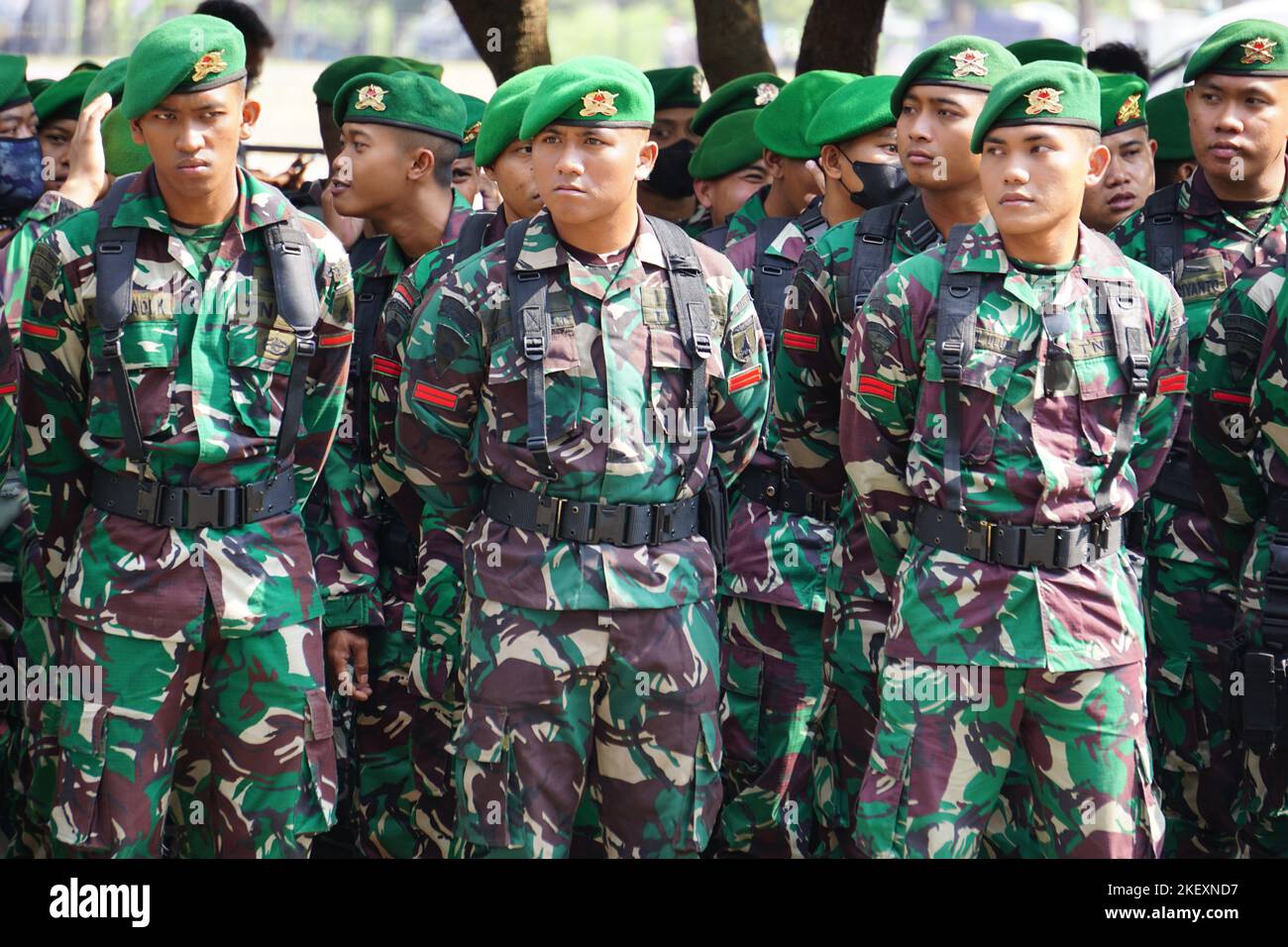 Indonesian army Banque de photographies et d’images à haute résolution ...