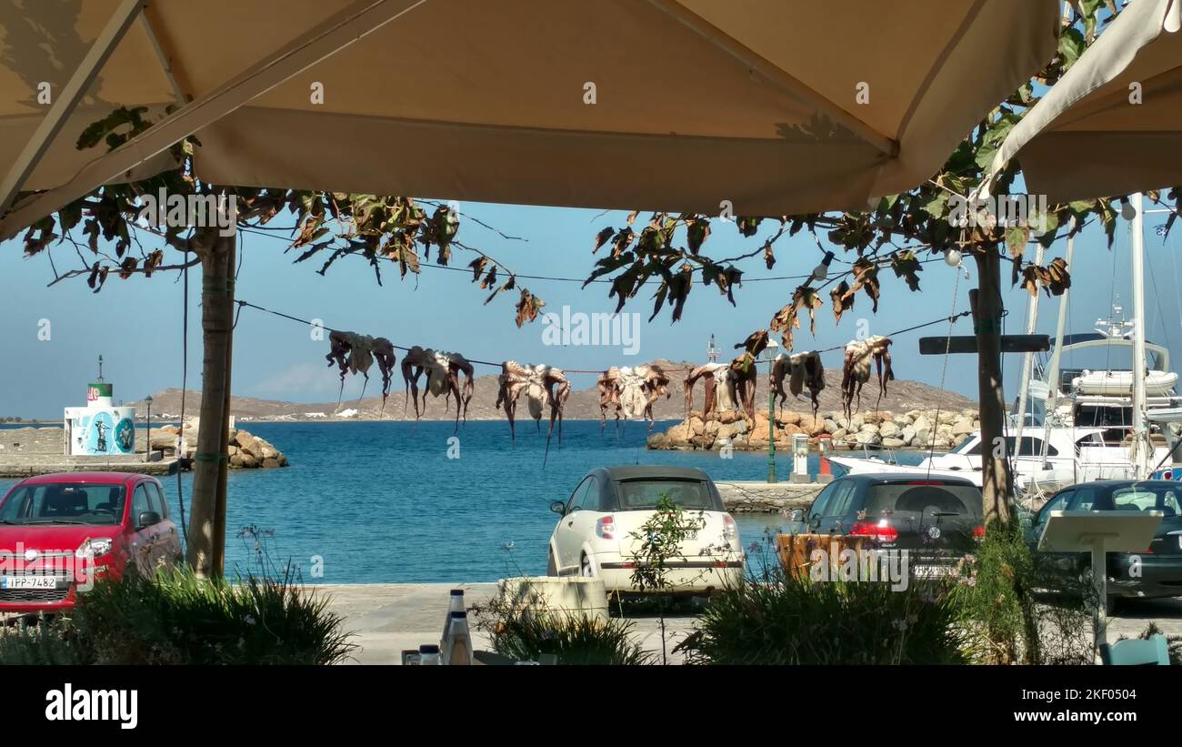 Mediteranean garden Banque de photographies et d’images à haute ...