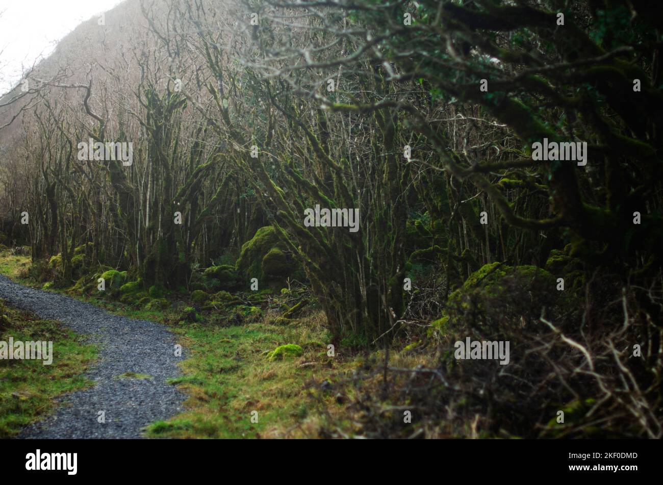 Rocher des aigles de slieve carran Banque de photographies et d’images ...