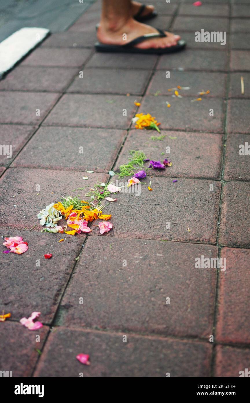 Balinese floral offerings Banque de photographies et d’images à haute ...