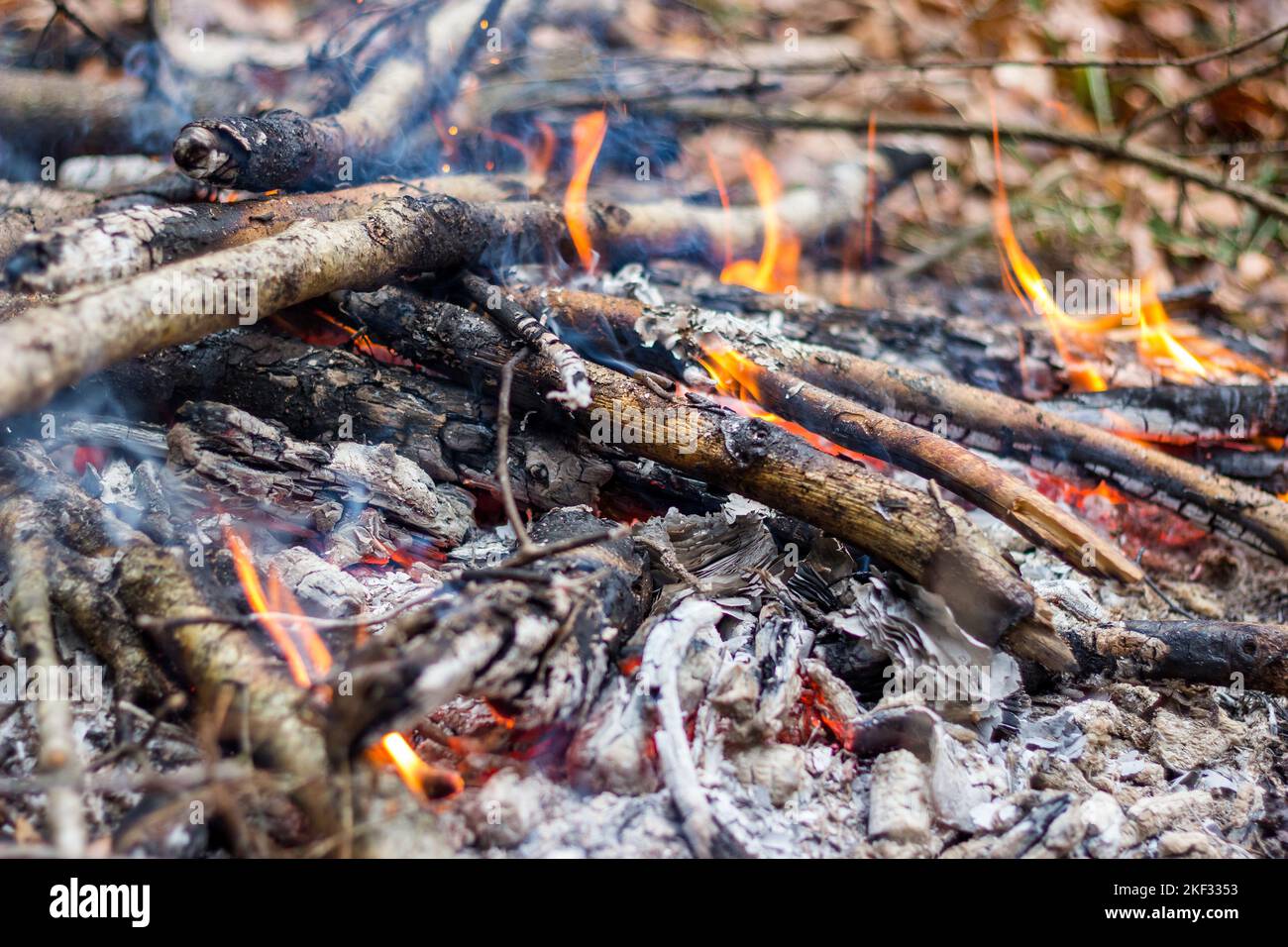 Branches en feu Banque de photographies et d’images à haute résolution ...