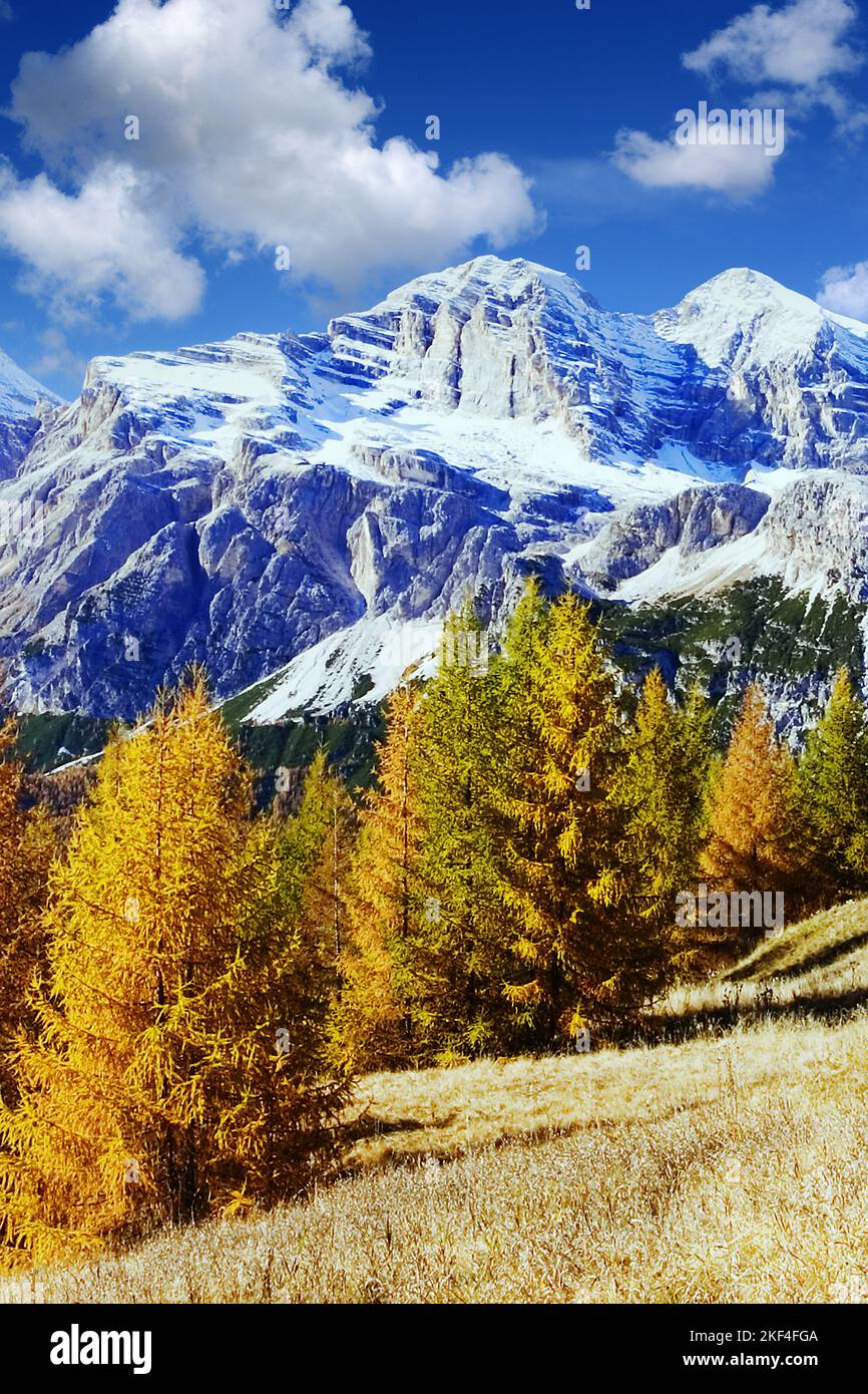 Le tofane Banque de photographies et d’images à haute résolution - Alamy