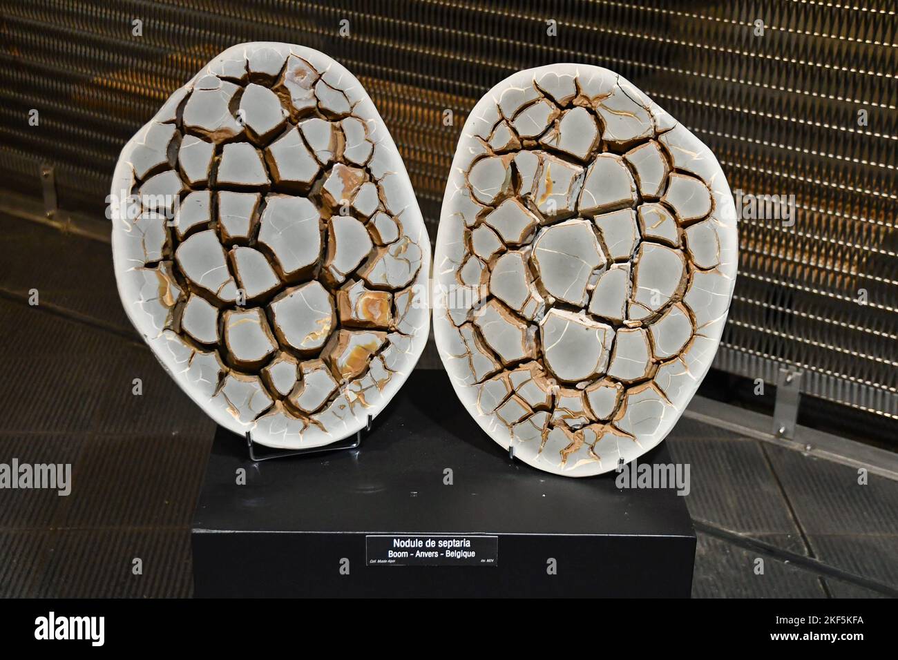 Espace tairraz Banque de photographies et d’images à haute résolution ...