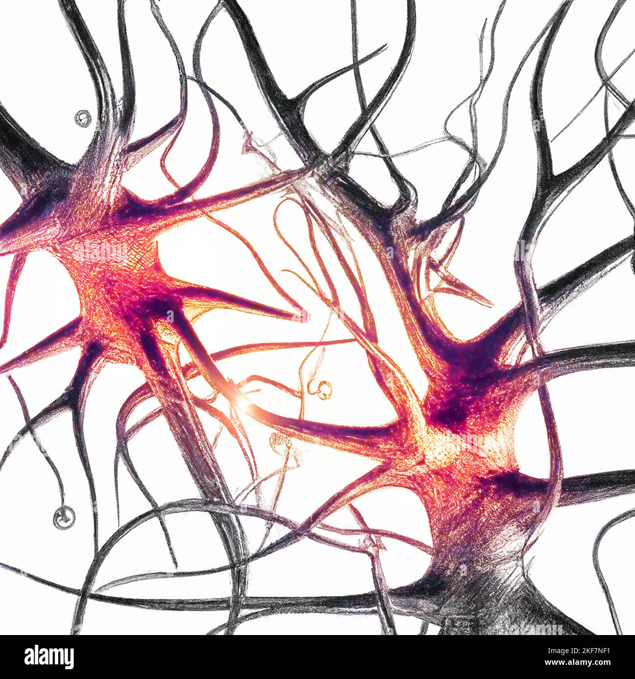Vue microscopique des synapses. Connexions cérébrales. Neurones et ...
