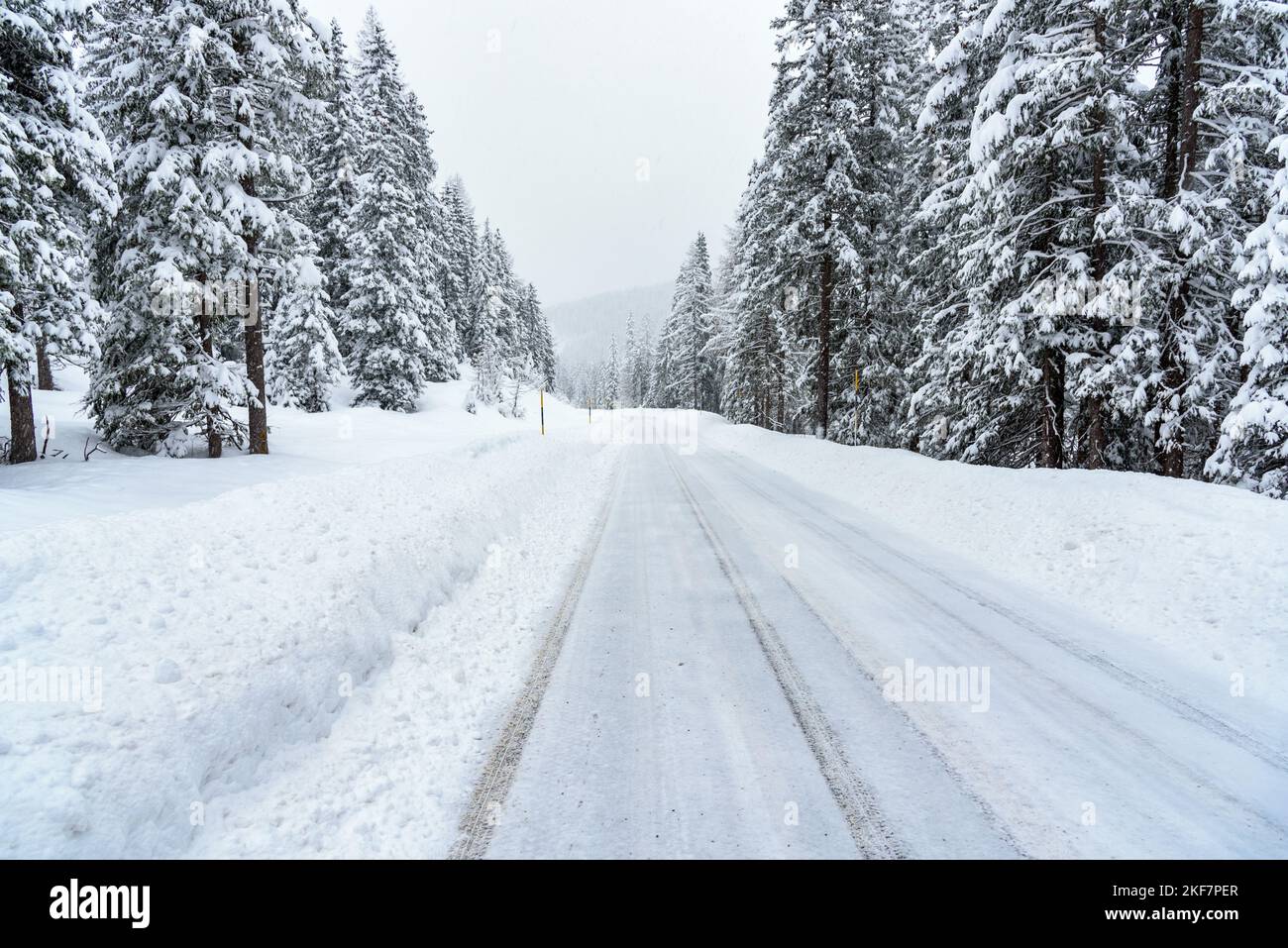Route de montagne déserte à travers une forêt enneigée pendant une ...