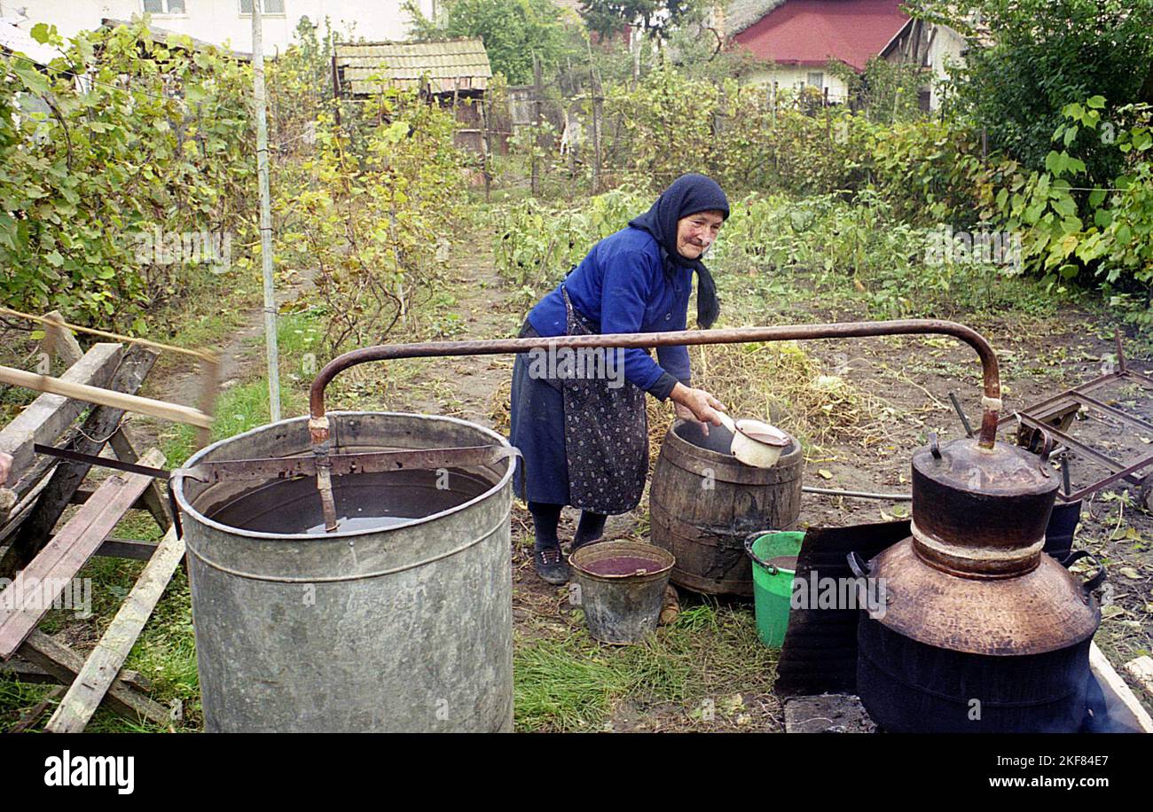 Comté d'Ilfov, Roumanie, environ 2002. Femme âgée dans la campagne ...
