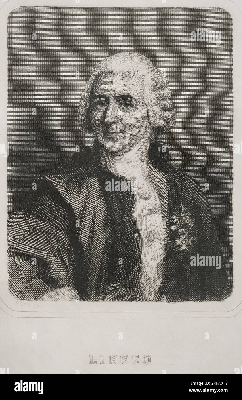 Carl Linnaeus (1707-1778). Naturaliste et botaniste suédois. Il a ...
