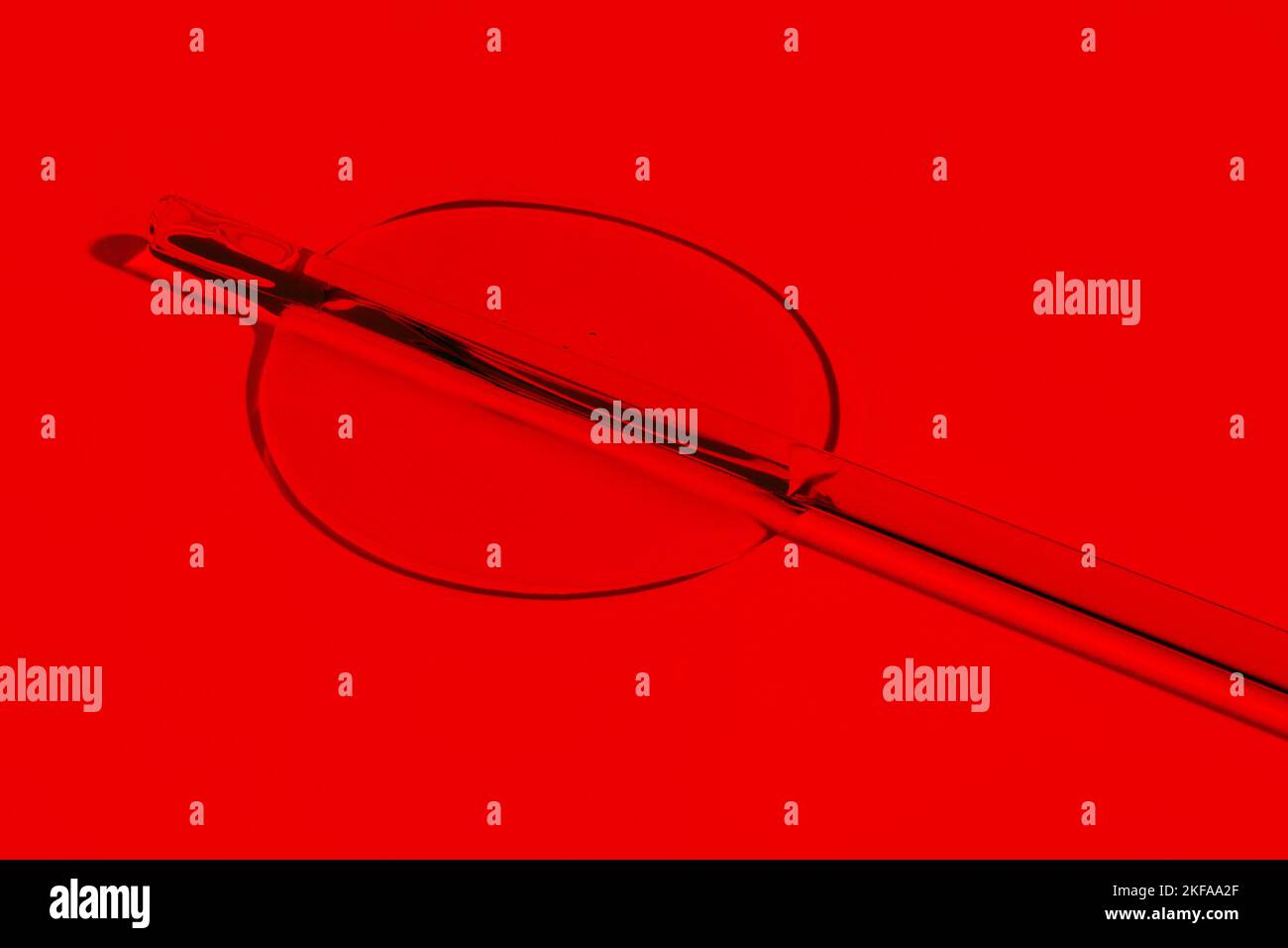 boîte de pétri, sang, rouge, laboratoire, instruments de laboratoire ...