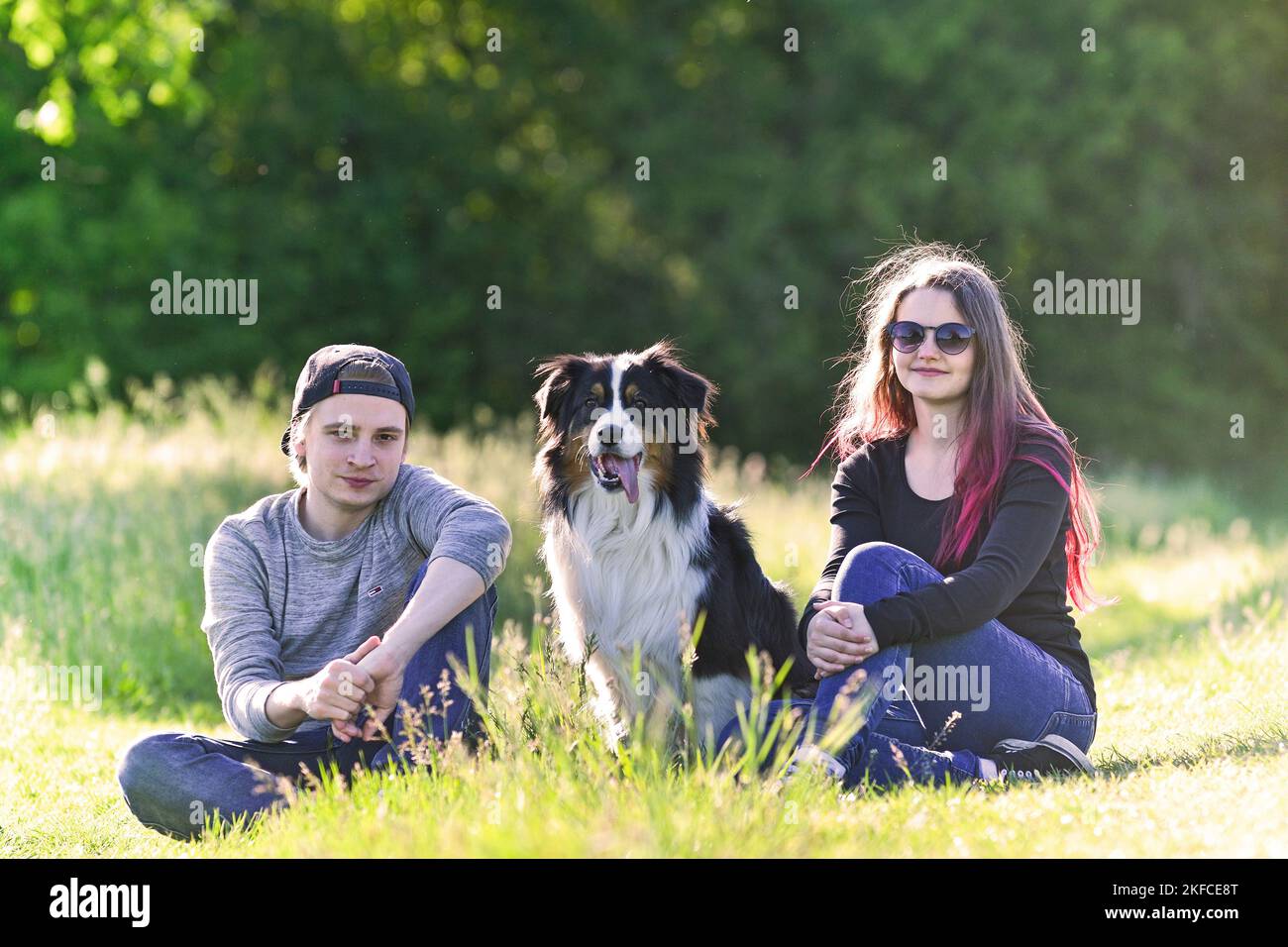 Femelle berger australien tricolore Banque de photographies et d’images ...