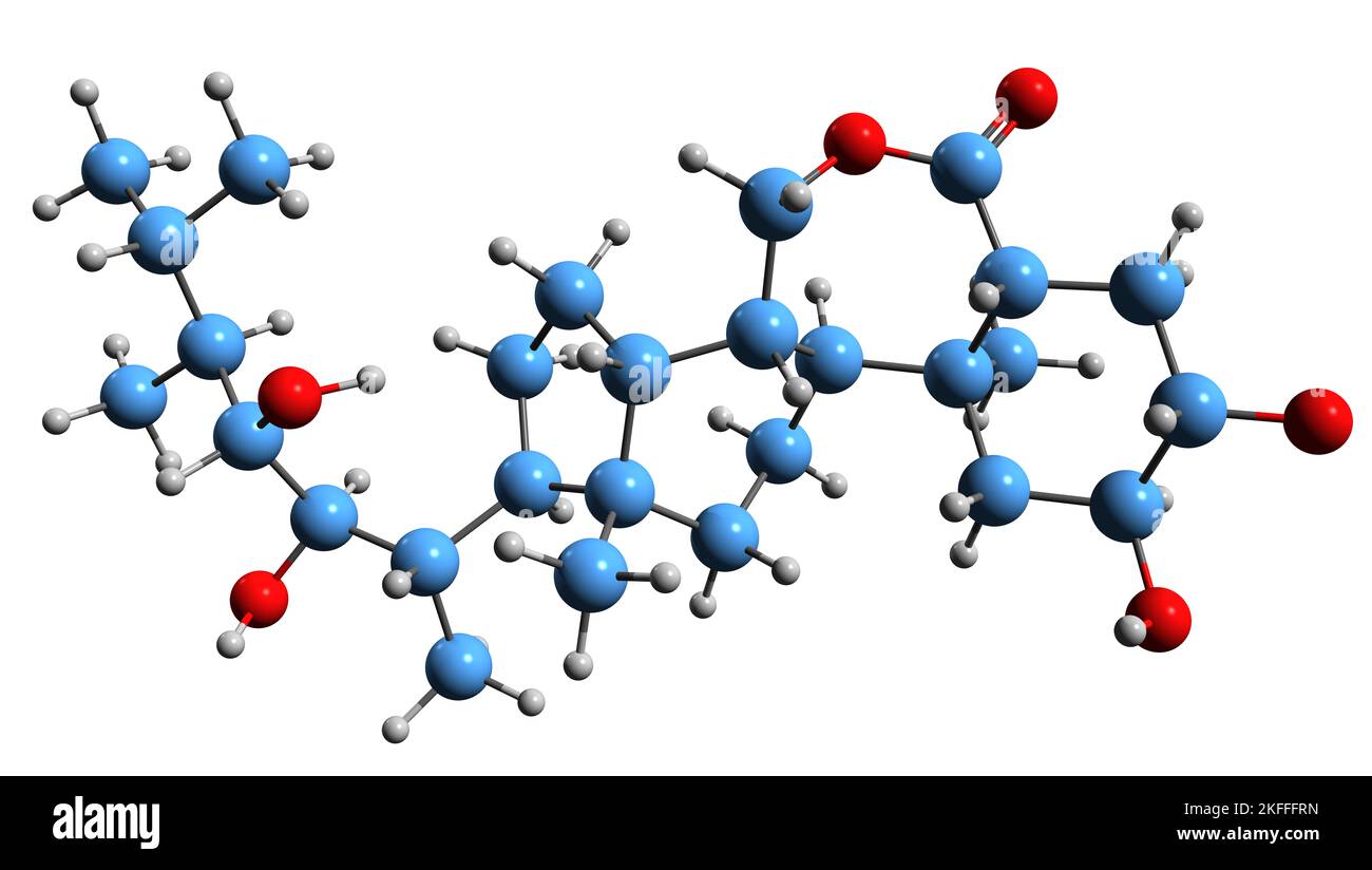 Cellule hormonale Banque de photographies et d’images à haute ...