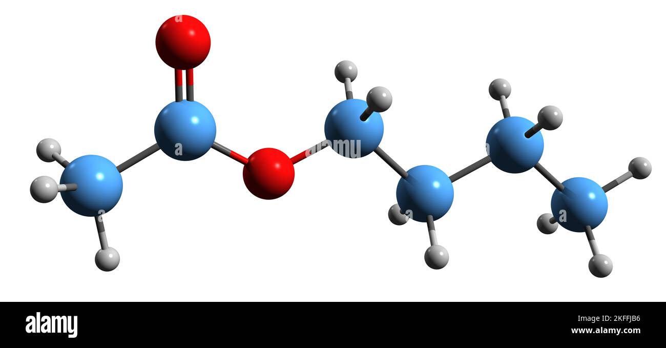 Glande de koschevnikov Banque de photographies et d’images à haute ...