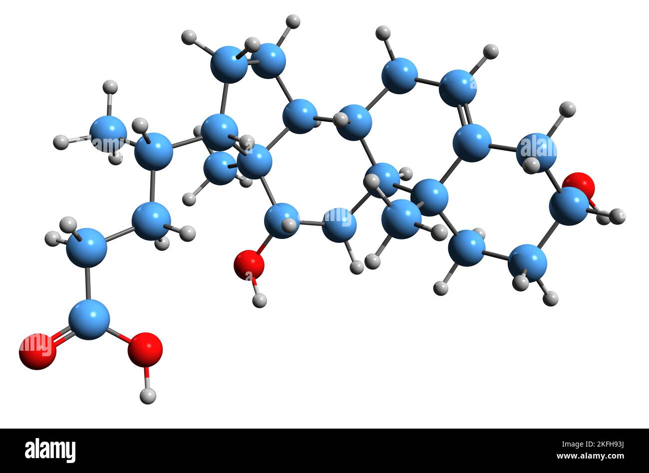 3D image de la formule squelettique de l'acide désoxycholique ...
