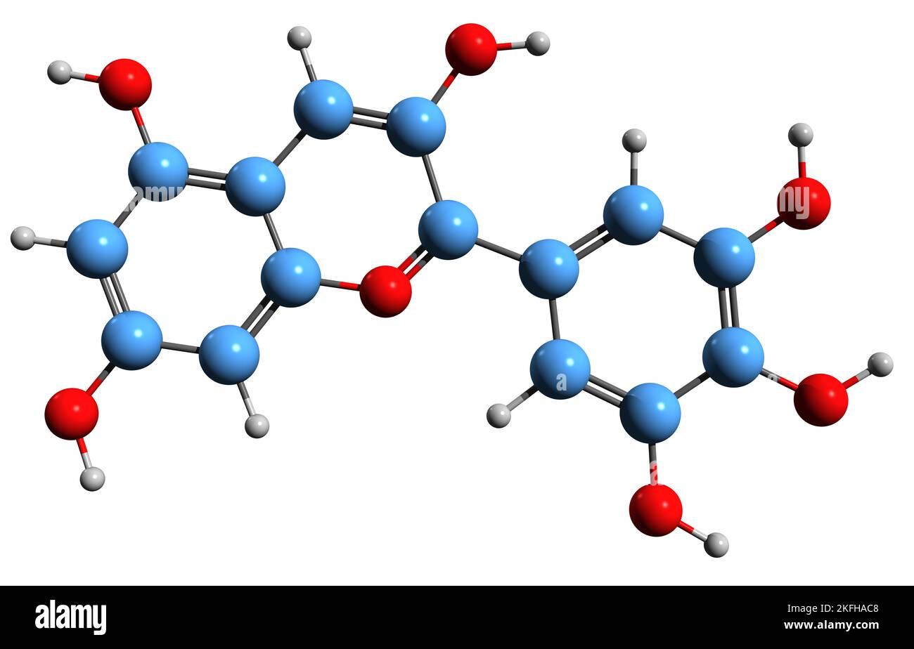 Structure delphinium Banque de photographies et d’images à haute ...