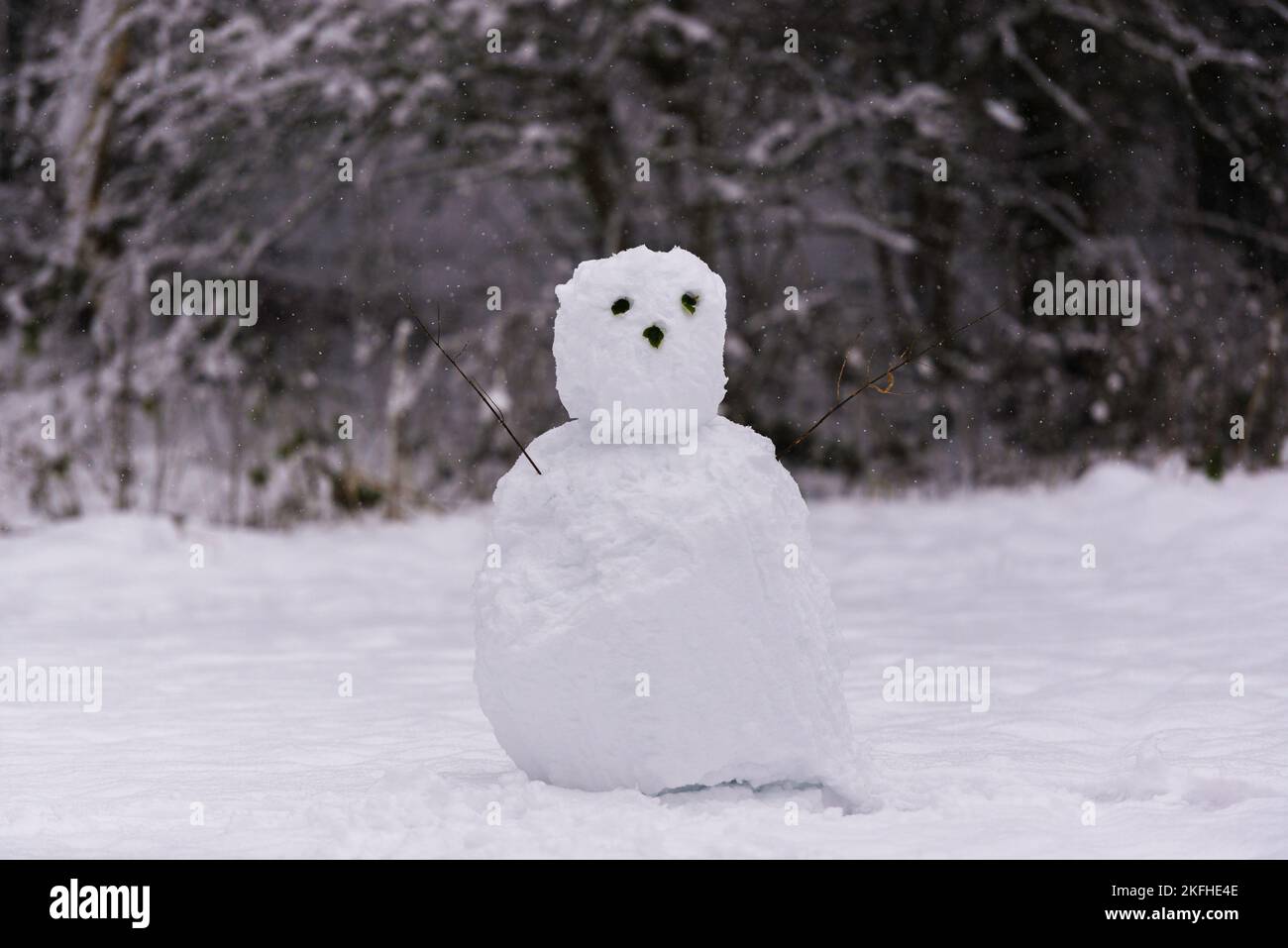 Cartoon they build a snowman Banque de photographies et d’images à ...