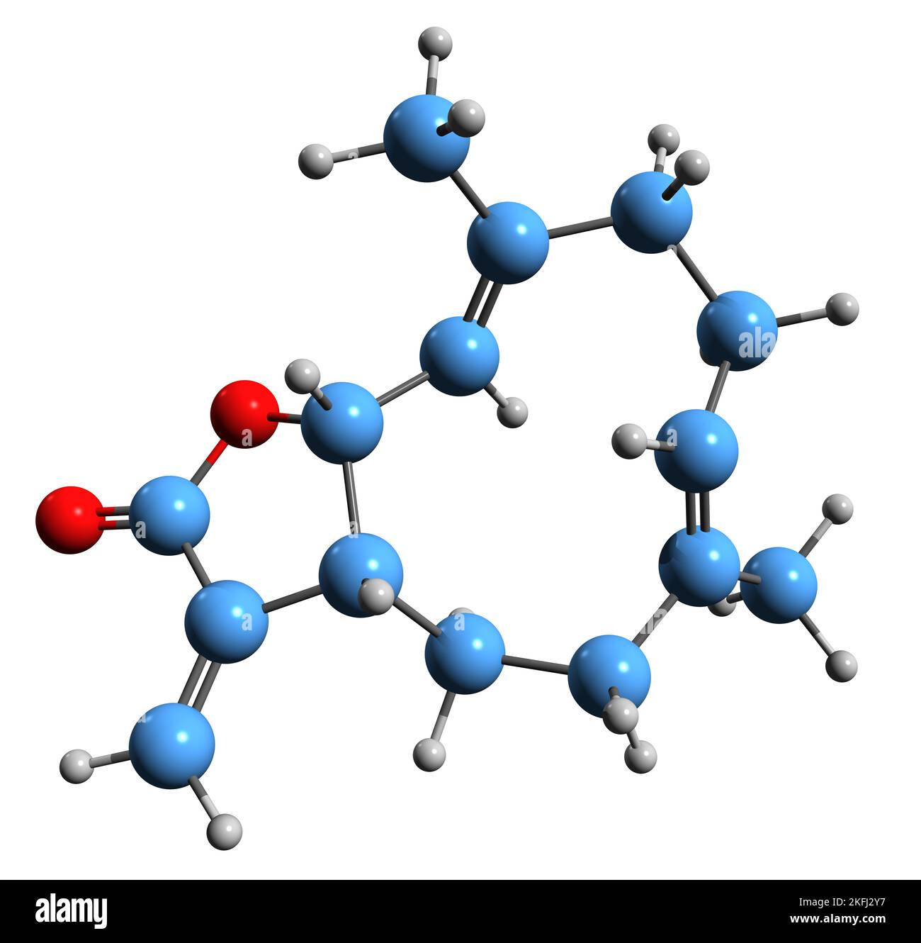 3D image de la formule squelettique de Costunolide - structure chimique ...