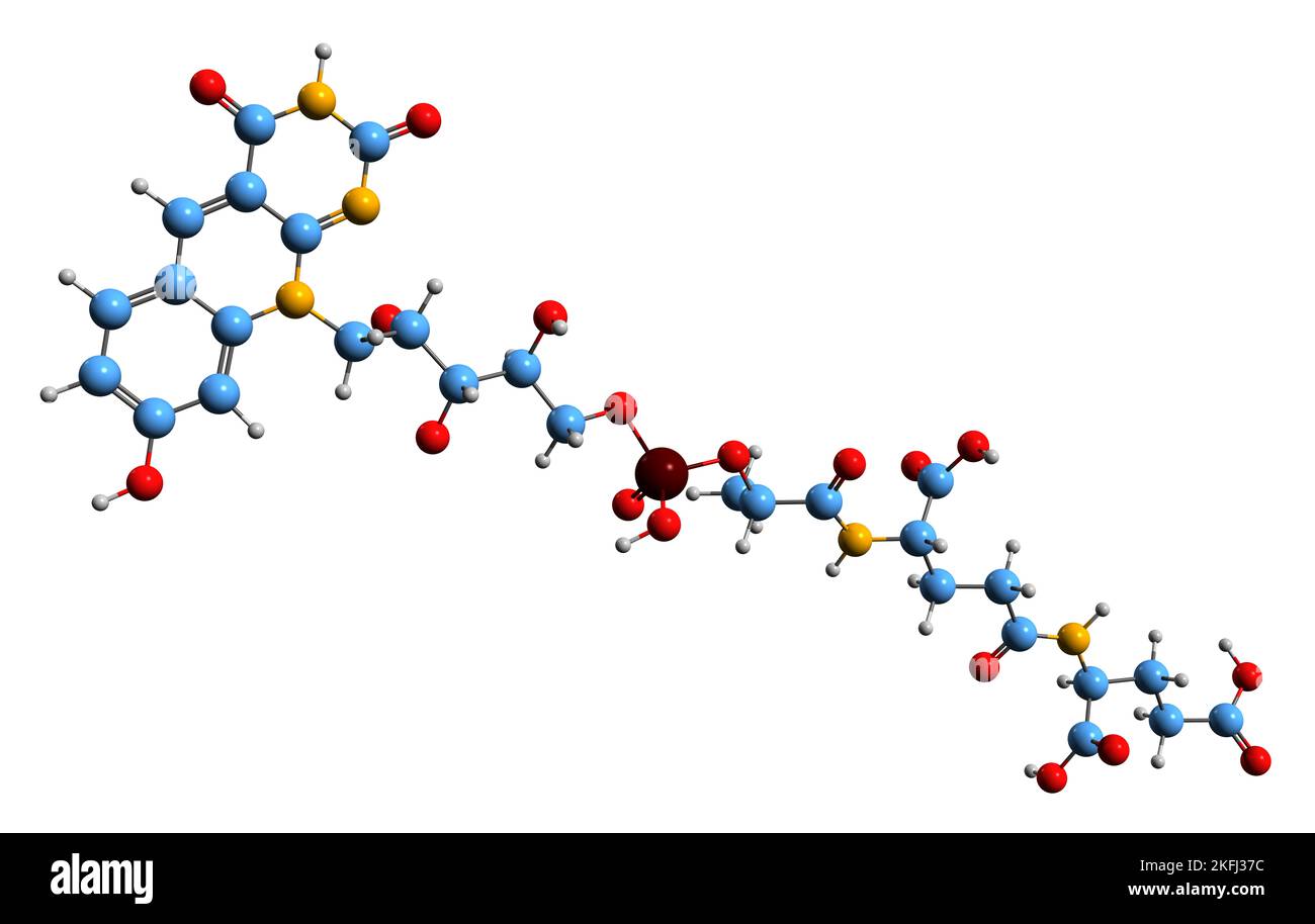 3D image de la formule squelettique de la coenzyme F420 - structure ...