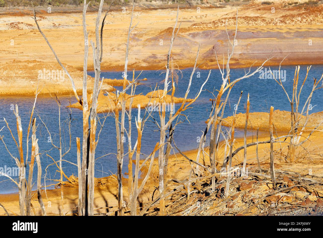 Niveaux bas du réservoir d'eau. Climat sec. Pénurie d'eau. Arbres morts ...