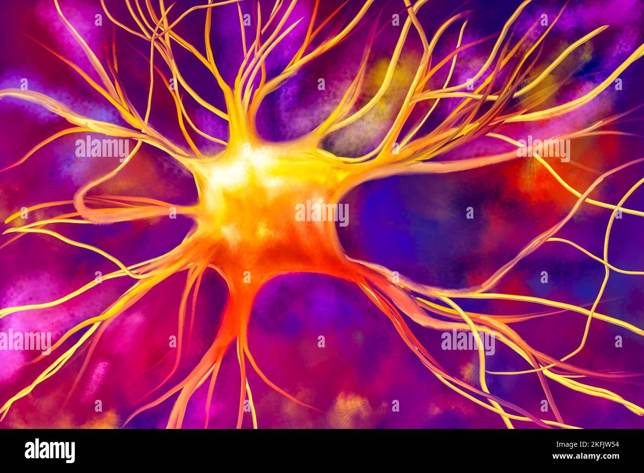 Cellule nerveuse du cortex Banque de photographies et d’images à haute ...